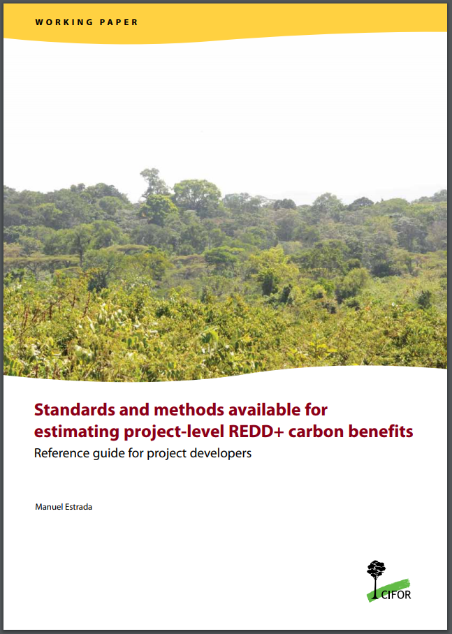 Carbon standards and methodologies | Manuel Estrada - Climate Change ...